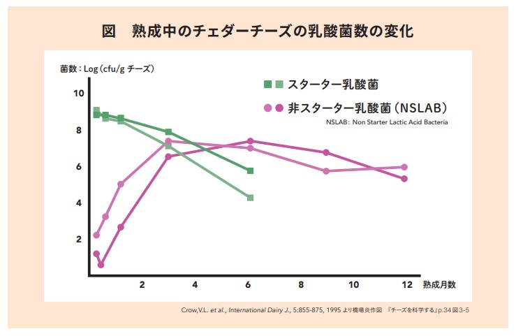C.P.A. | 乳科学 マルド博士のミルク語り